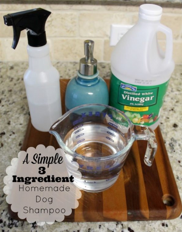A Simple 3-Ingredient Homemade Dog Shampoo