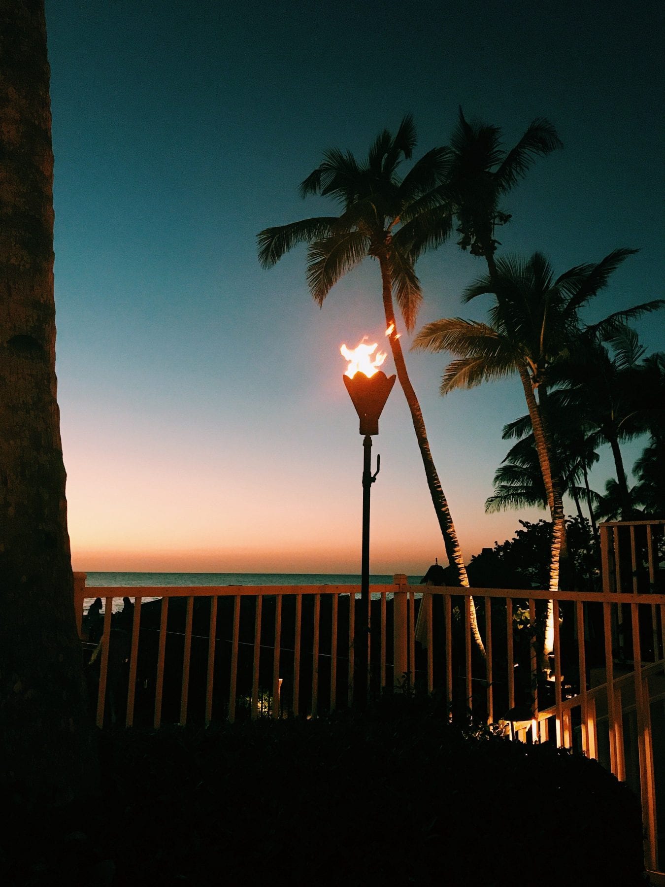 Fine Dining in Naples, Florida at BALEEN on the Beach | Mom Fabulous